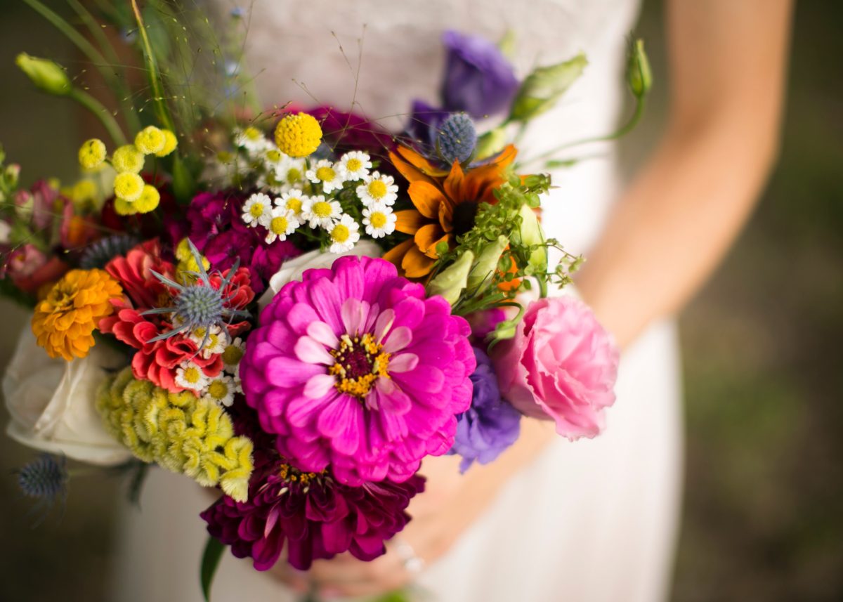 July Wildflowers at the Dairy Barn - Renfrow Farms